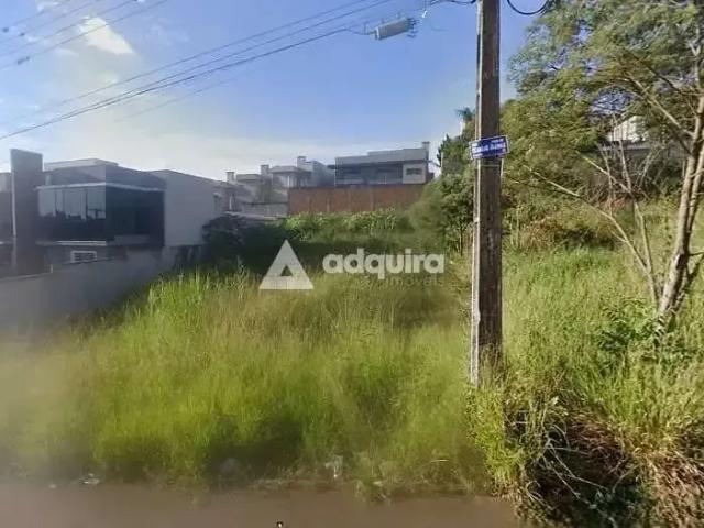 Terreno / Lote para Venda em Ponta Grossa/PR Estrela