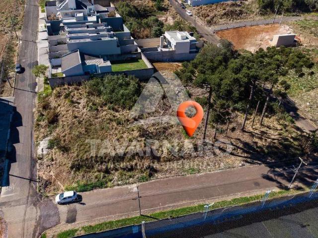 Terreno / Lote para Venda em Ponta Grossa/PR Estrela