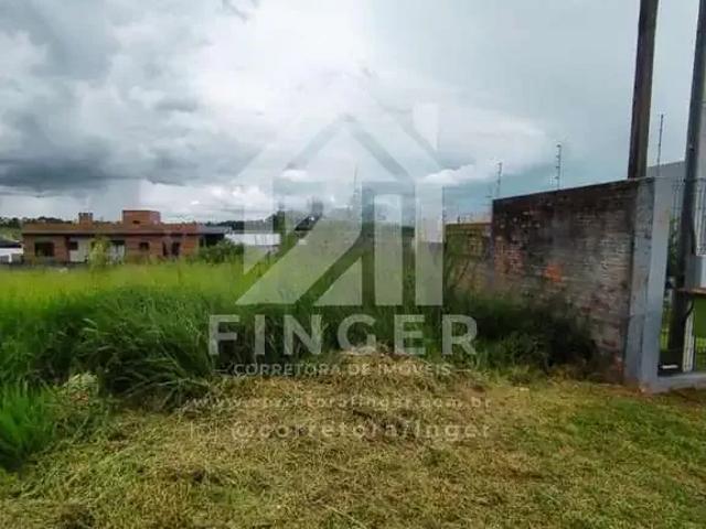 Terreno / Lote para Venda em Ponta Grossa/PR Estrela