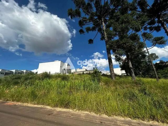 Terreno / Lote para Venda em Ponta Grossa/PR Estrela