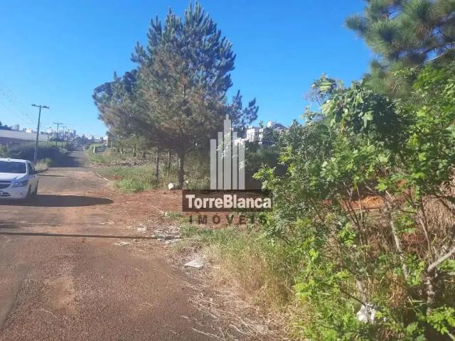 Terreno / Lote para Venda em Ponta Grossa/PR Estrela