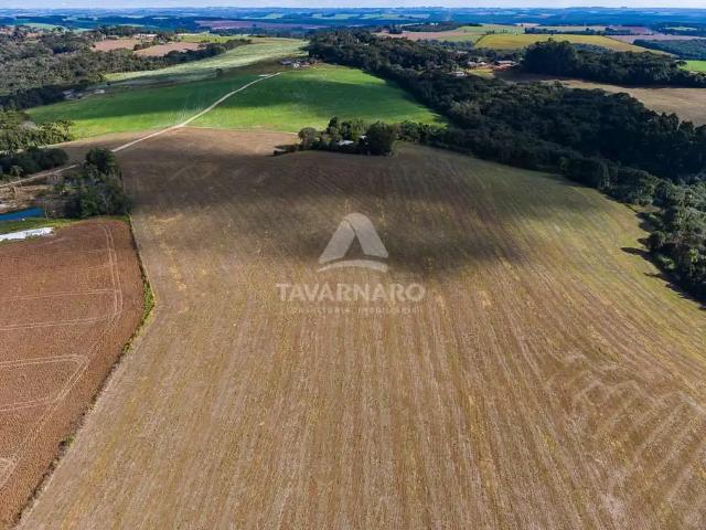 Terreno / Lote para Venda em Ponta Grossa/PR Guaragi