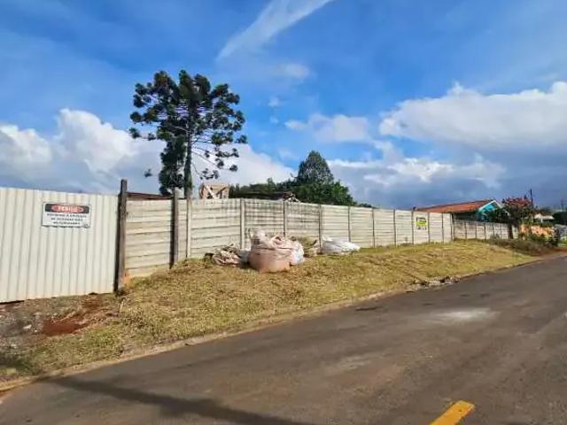 Terreno / Lote para Venda em Ponta Grossa/PR Jardim Carvalho