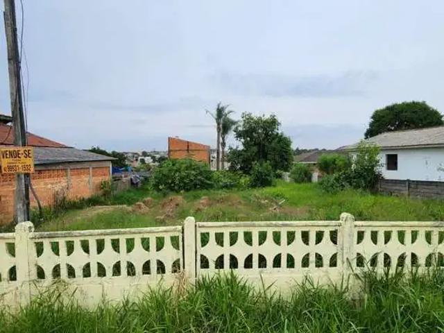 Terreno / Lote para Venda em Ponta Grossa/PR Jardim Carvalho