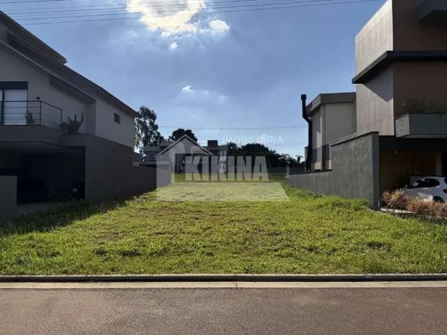Terreno / Lote para Venda em Ponta Grossa/PR Jardim Carvalho