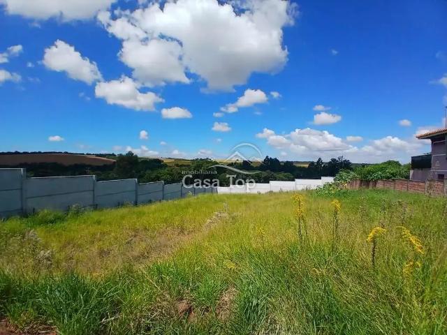 Terreno / Lote para Venda em Ponta Grossa/PR Jardim Carvalho