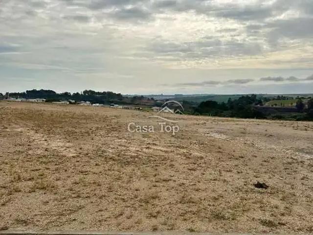 Terreno / Lote para Venda em Ponta Grossa/PR Jardim Carvalho