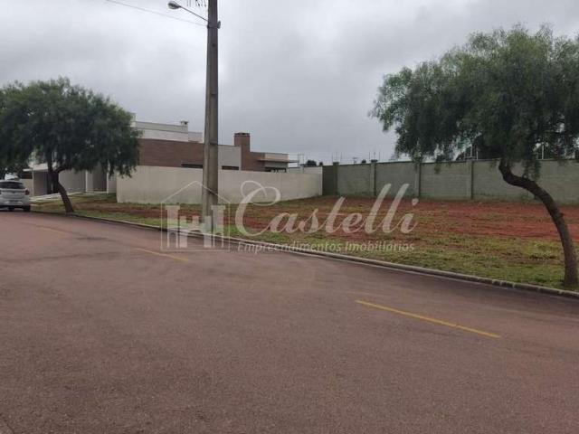 Terreno / Lote para Venda em Ponta Grossa/PR Jardim Carvalho