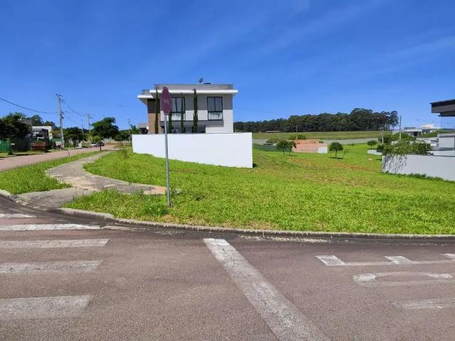Terreno / Lote para Venda em Ponta Grossa/PR Jardim Carvalho