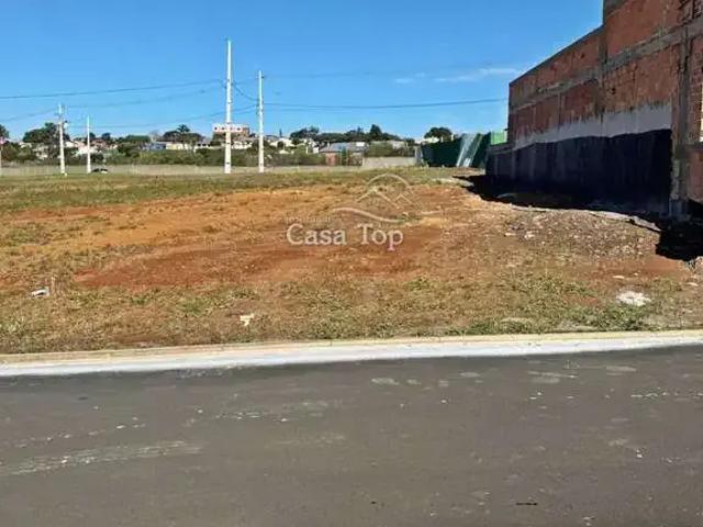 Terreno / Lote para Venda em Ponta Grossa/PR Jardim Carvalho