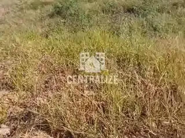 Terreno / Lote para Venda em Ponta Grossa/PR Jardim Carvalho