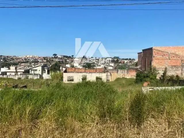Terreno / Lote para Venda em Ponta Grossa/PR Jardim Carvalho