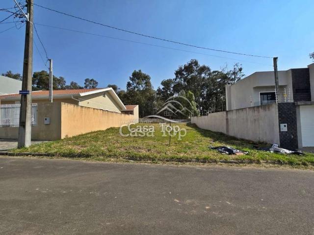 Terreno / Lote para Venda em Ponta Grossa/PR Jardim Carvalho