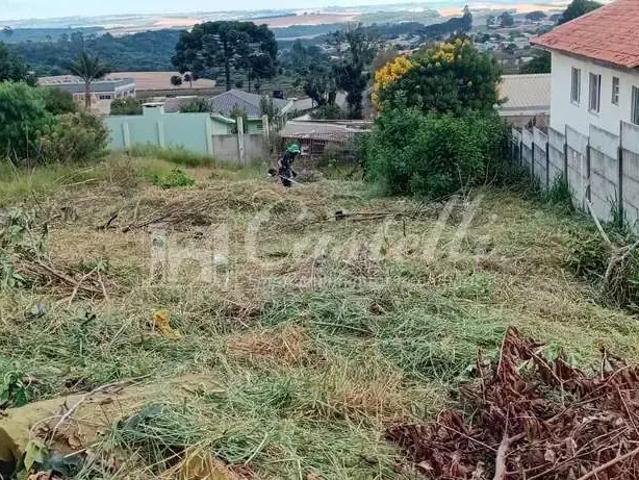 Terreno / Lote para Venda em Ponta Grossa/PR Jardim Carvalho