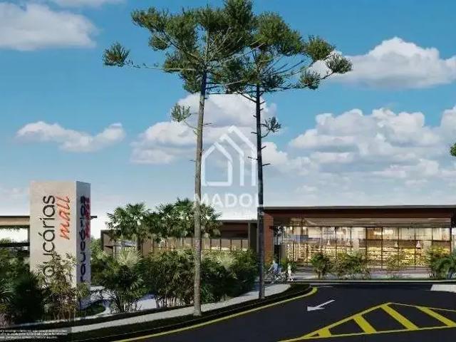 Terreno / Lote para Venda em Ponta Grossa/PR Jardim Carvalho