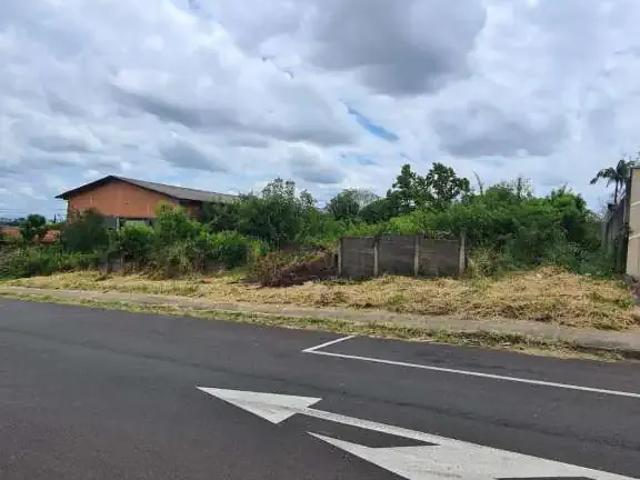 Terreno / Lote para Venda em Ponta Grossa/PR Jardim Carvalho