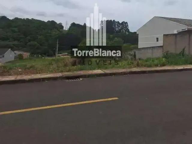 Terreno / Lote para Venda em Ponta Grossa/PR Jardim Carvalho