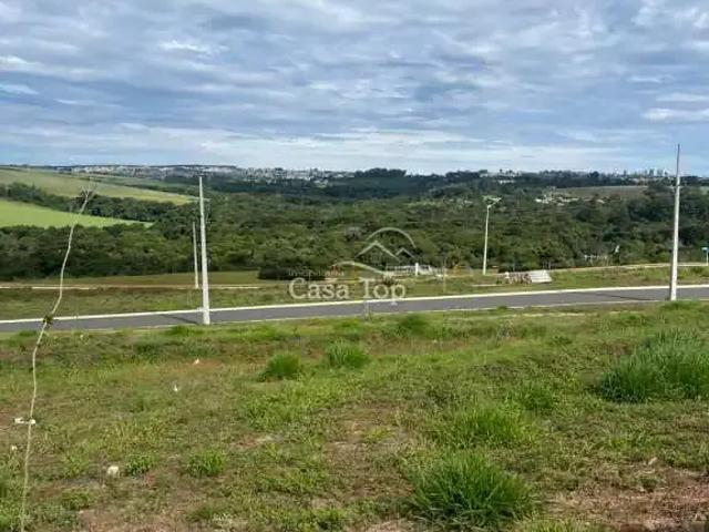 Terreno / Lote para Venda em Ponta Grossa/PR Jardim Carvalho