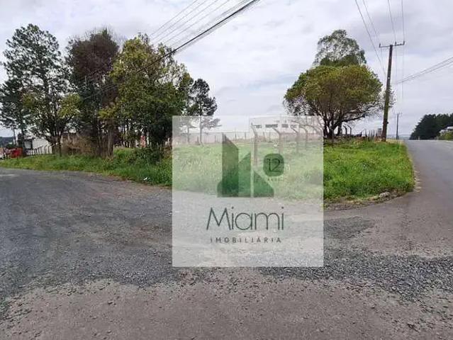 Terreno / Lote para Venda em Ponta Grossa/PR Jardim Carvalho