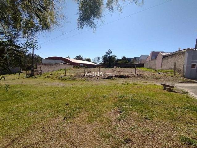 Terreno / Lote para Venda em Ponta Grossa/PR Jardim Carvalho