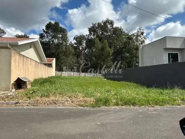 Terreno / Lote para Venda em Ponta Grossa/PR Jardim Carvalho