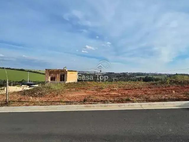 Terreno / Lote para Venda em Ponta Grossa/PR Jardim Carvalho