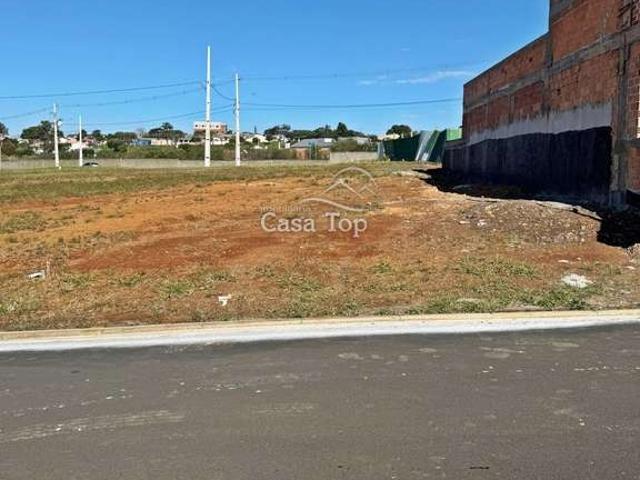 Terreno / Lote para Venda em Ponta Grossa/PR Jardim Carvalho