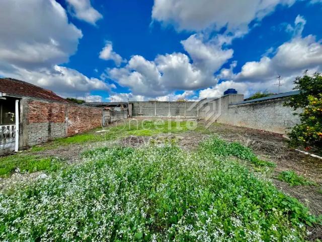 Terreno / Lote para Venda em Ponta Grossa/PR Jardim Carvalho