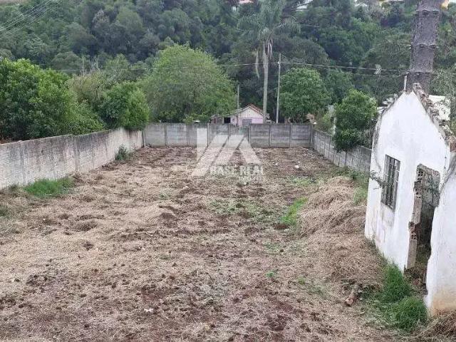 Terreno / Lote para Venda em Ponta Grossa/PR Jardim Carvalho