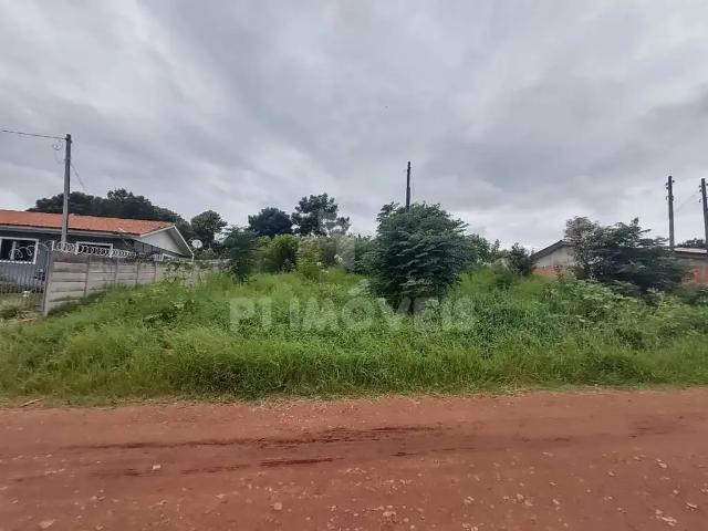 Terreno / Lote para Venda em Ponta Grossa/PR Jardim Carvalho