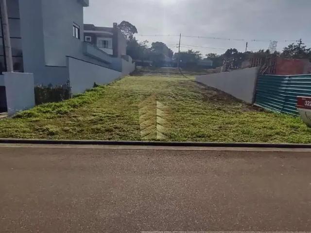 Terreno / Lote para Venda em Ponta Grossa/PR Jardim Carvalho