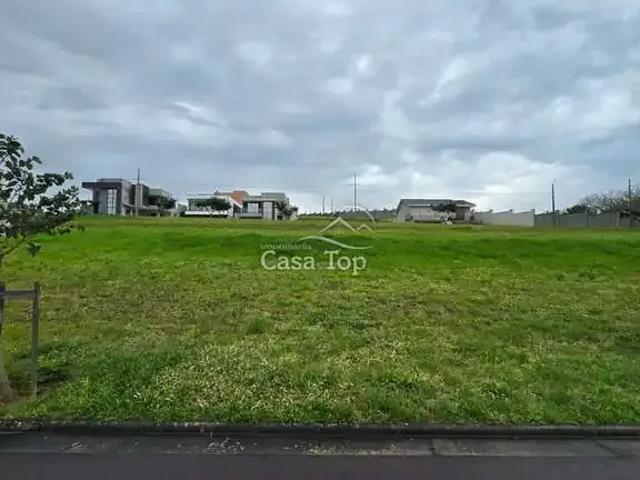 Terreno / Lote para Venda em Ponta Grossa/PR Jardim Carvalho