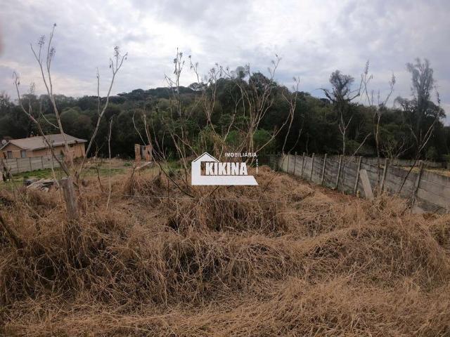 Terreno / Lote para Venda em Ponta Grossa/PR Jardim Carvalho