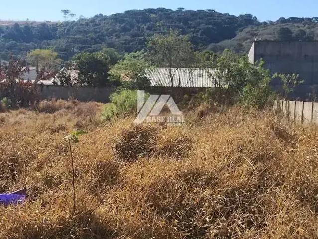 Terreno / Lote para Venda em Ponta Grossa/PR Jardim Carvalho