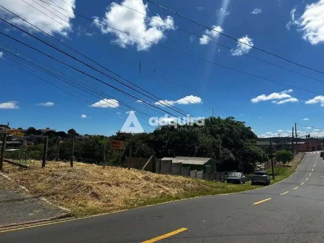 Terreno / Lote para Venda em Ponta Grossa/PR Jardim Carvalho