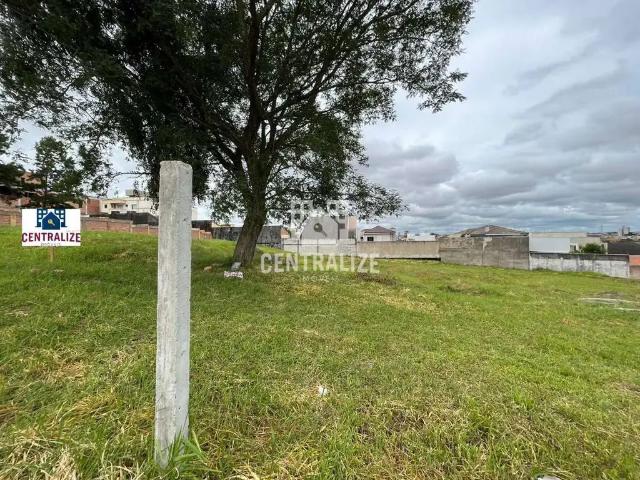 Terreno / Lote para Venda em Ponta Grossa/PR Jardim Carvalho
