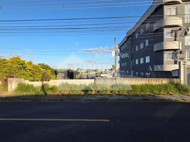 Terreno / Lote para Venda em Ponta Grossa/PR Jardim Carvalho