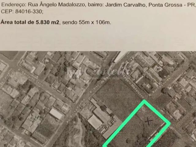 Terreno / Lote para Venda em Ponta Grossa/PR Jardim Carvalho