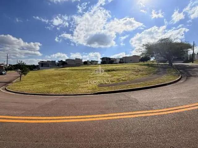 Terreno / Lote para Venda em Ponta Grossa/PR Jardim Carvalho