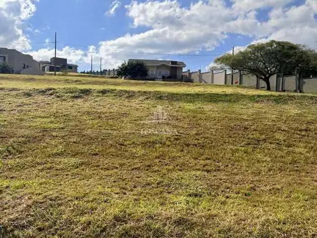 Terreno / Lote para Venda em Ponta Grossa/PR Jardim Carvalho