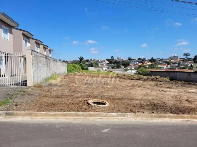 Terreno / Lote para Venda em Ponta Grossa/PR Jardim Carvalho