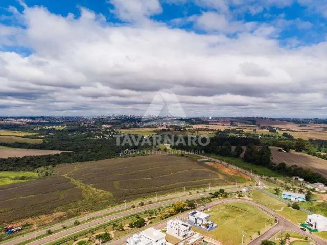 Terreno / Lote para Venda em Ponta Grossa/PR Jardim Carvalho