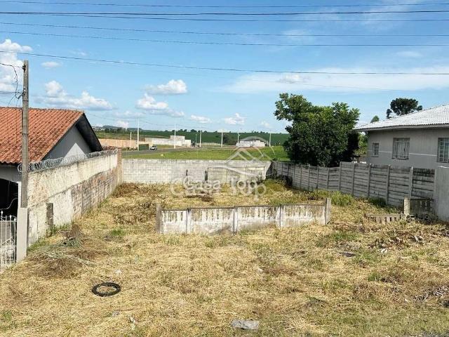 Terreno / Lote para Venda em Ponta Grossa/PR Jardim Carvalho