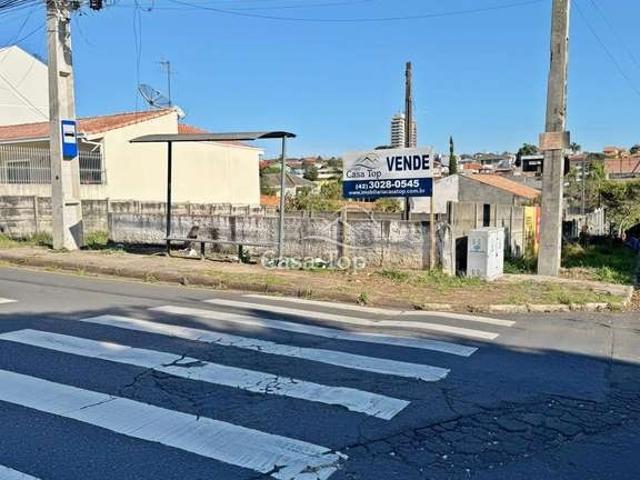 Terreno / Lote para Venda em Ponta Grossa/PR Jardim Carvalho