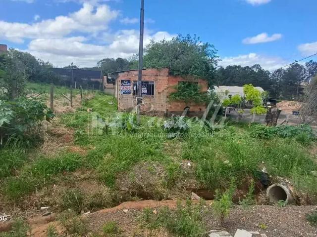 Terreno / Lote para Venda em Ponta Grossa/PR Jardim Carvalho