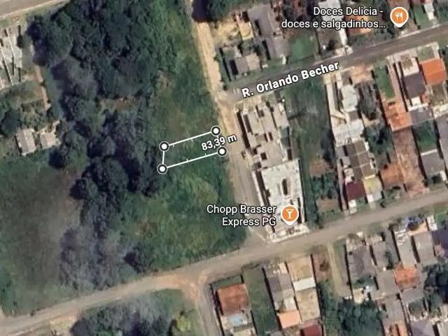 Terreno / Lote para Venda em Ponta Grossa/PR Jardim Carvalho