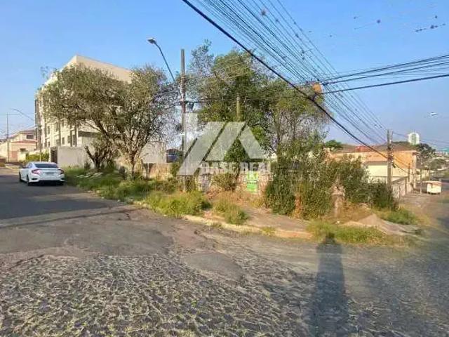 Terreno / Lote para Venda em Ponta Grossa/PR Jardim Carvalho