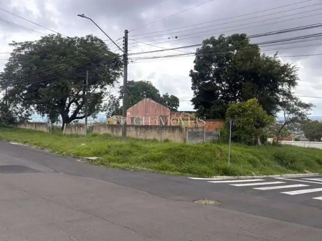 Terreno / Lote para Venda em Ponta Grossa/PR Jardim Carvalho