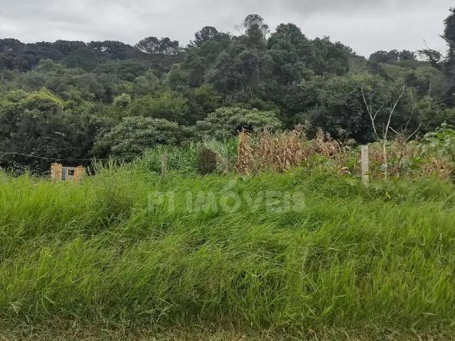 Terreno / Lote para Venda em Ponta Grossa/PR Jardim Carvalho