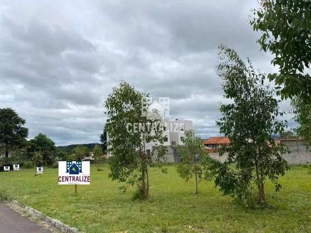 Terreno / Lote para Venda em Ponta Grossa/PR Jardim Carvalho